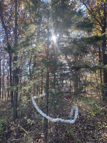 Best Hikes and Trails in Blue & Gray Park Preserve | AllTrails