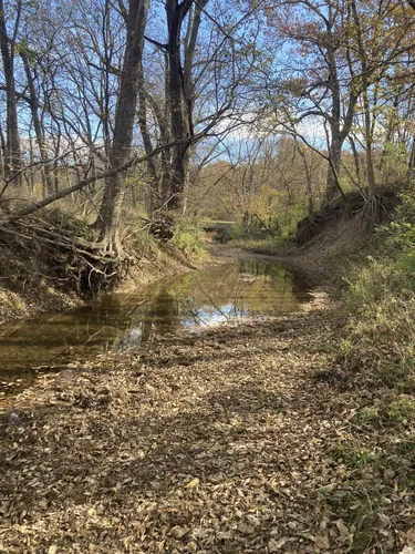 2023 Best Wild Flowers Trails in Lone Jack | AllTrails