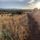 Boston Hill Trail, New Mexico - 212 Reviews, Map | AllTrails