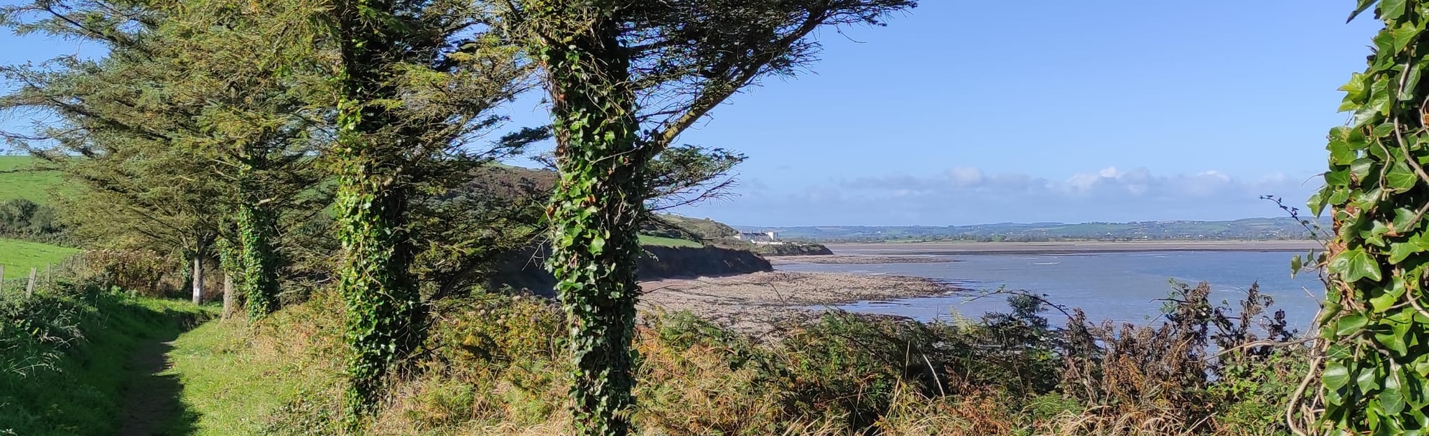 Knockadoon Cliff Walk: 41 foto - County Cork, Irlanda | AllTrails