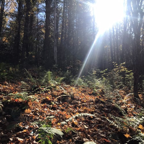 Best Hikes and Trails in Ely Conservation Area | AllTrails