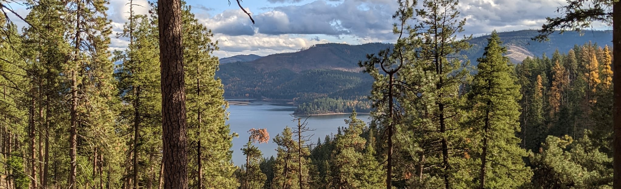 Shoeffler Butte Summit via Chatcolet Lake Trailhead, Idaho - 22 Reviews ...