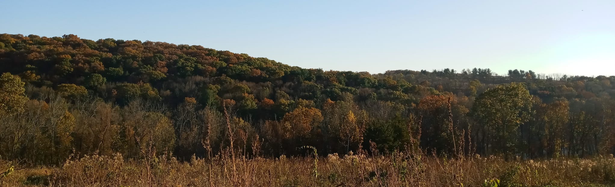 Blue Marsh Loop Trail: 222 Reviews, Map - Pennsylvania | AllTrails