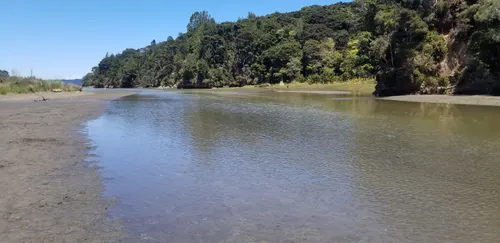 10 Best Easy Trails in Waitakere Ranges Regional Park | AllTrails