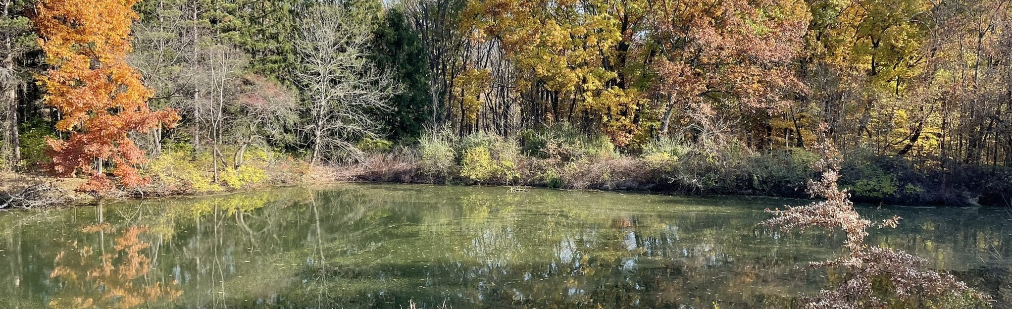 F.A. Seiberling Nature Realm Loop - Ohio | AllTrails