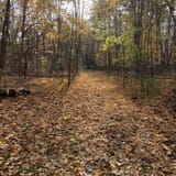 Longwoods Road Conservation Area, Ontario, Canada - 311 Reviews, Map ...