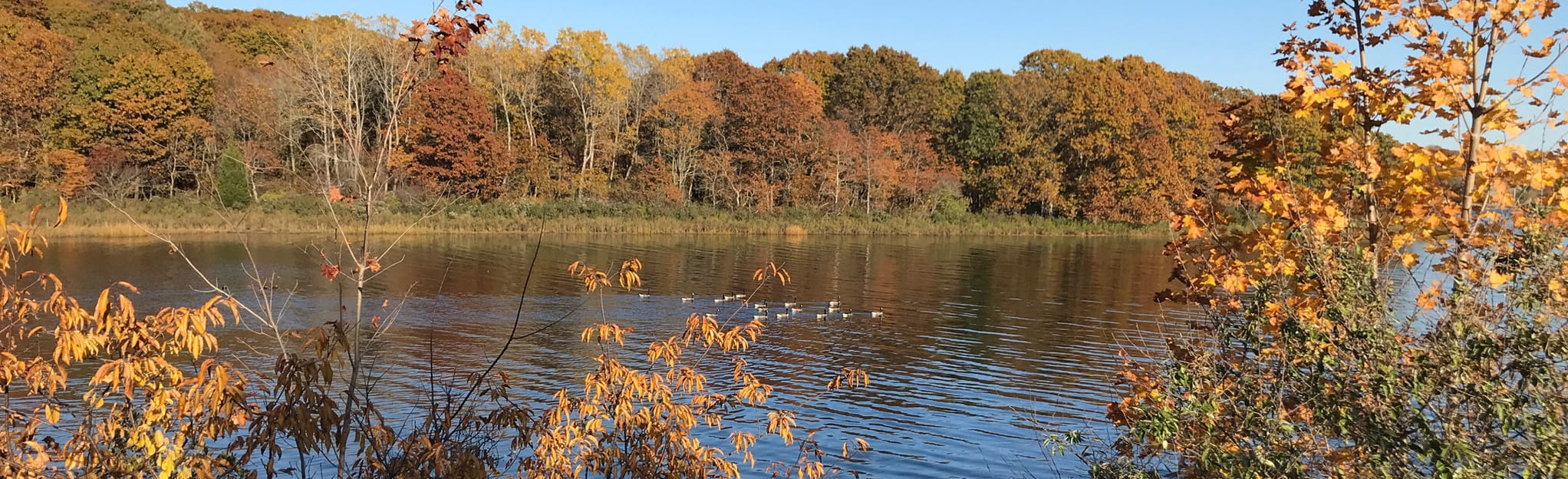 Mamacoke Hill: 362 Reviews, Map - Connecticut | AllTrails