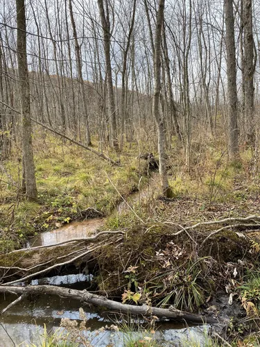 Best Hikes and Trails in Lost Lake State Natural Area | AllTrails