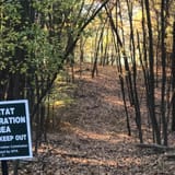 Barber Reservation Loop, Massachusetts - 141 Reviews, Map | AllTrails