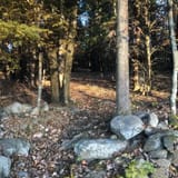 Barber Reservation Loop, Massachusetts - 141 Reviews, Map | AllTrails
