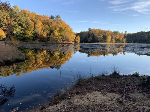 Best 10 Trails in Calvert Cliffs State Park | AllTrails
