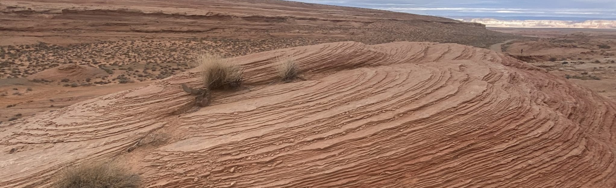 The New Wave Trail, Arizona - 505 Reviews, Map | AllTrails