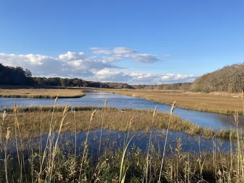 Best Hikes and Trails in Barn Island Wildlife Management Area | AllTrails