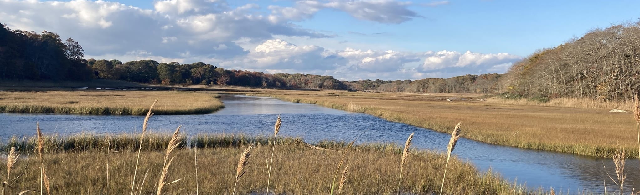 Barn Island Wildlife Management Area Trail, Connecticut - 573 Reviews ...