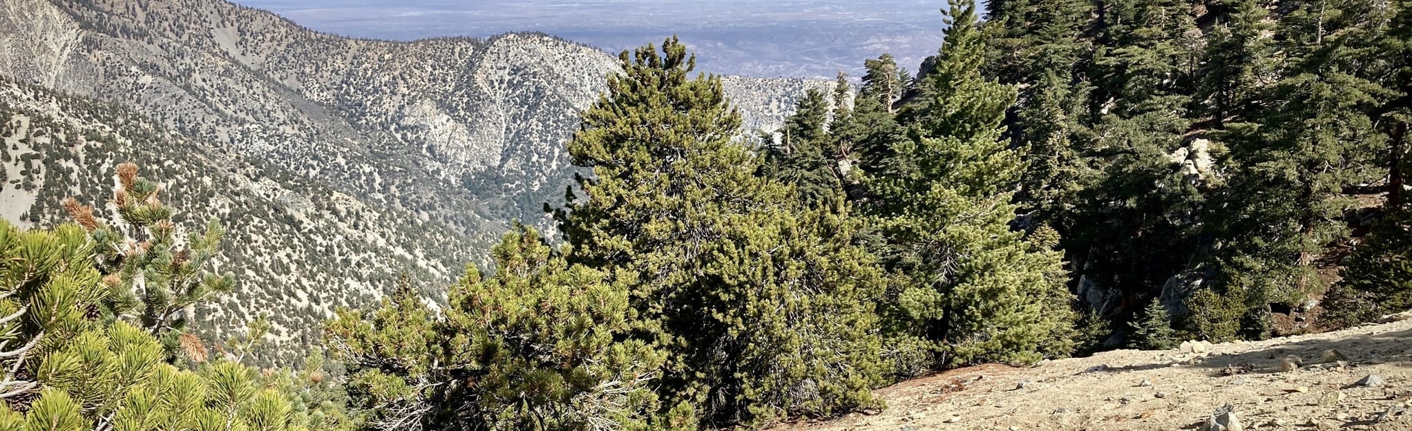 Etiwanda Peak via Cucamonga Peak Trail: 12.100 foto - California ...