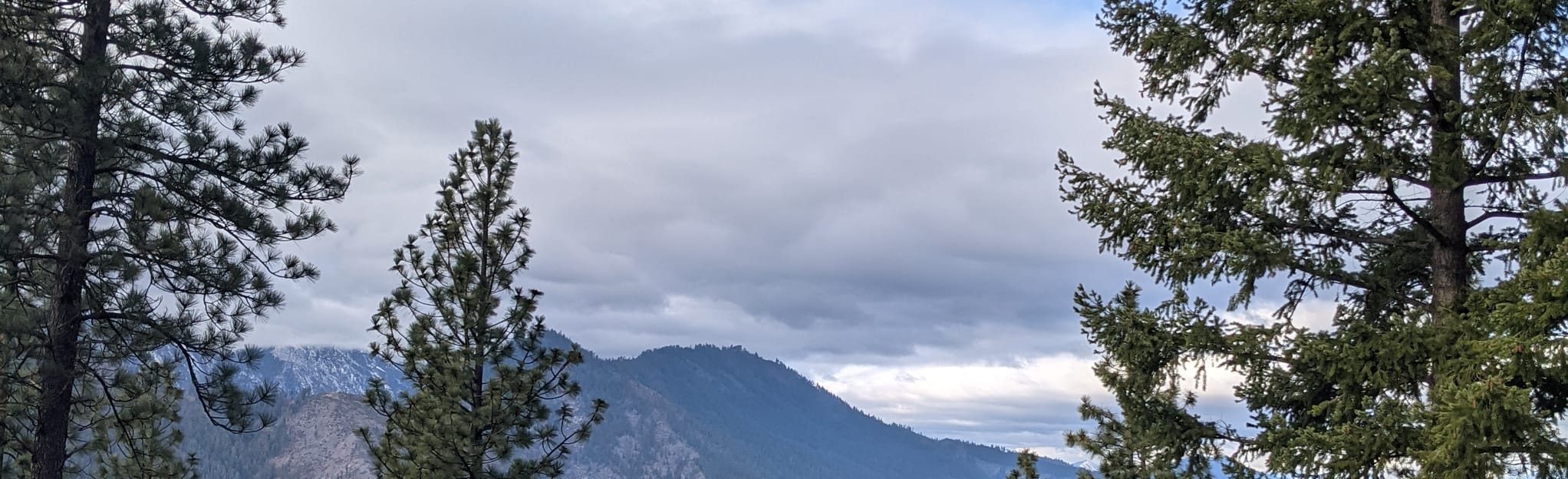 Canyon Crest Trail to Viewpoint Trail: 92 foto - Washington | AllTrails