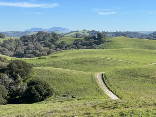 Best Hikes and Trails in Fernandez Ranch | AllTrails