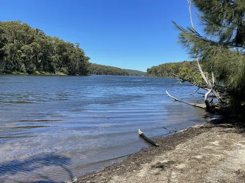Best Hikes and Trails in Meroo National Park | AllTrails