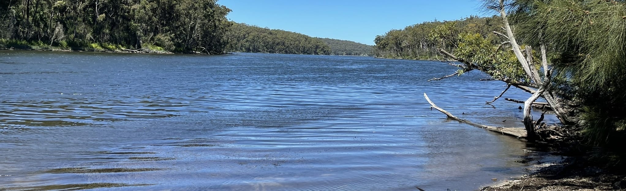 Burrill Lake Paddle, New South Wales, Australia - 2 Reviews, Map ...