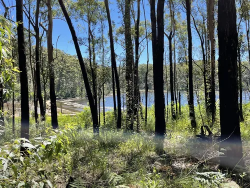 Best Hikes and Trails in Meroo National Park | AllTrails