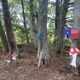 Kainui Lake Loop, Waikato, New Zealand - 99 Reviews, Map | AllTrails