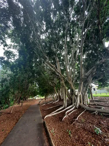 Best Hikes and Trails in Ipswich | AllTrails