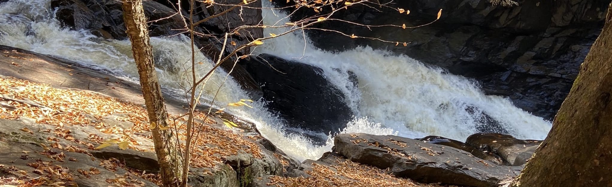 Auger Falls via Griffin Gorge - New York | AllTrails