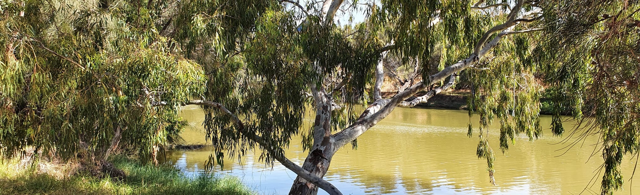 Port Denison Foreshore and Irwin River Walk: 31 Reviews, Map - Western ...