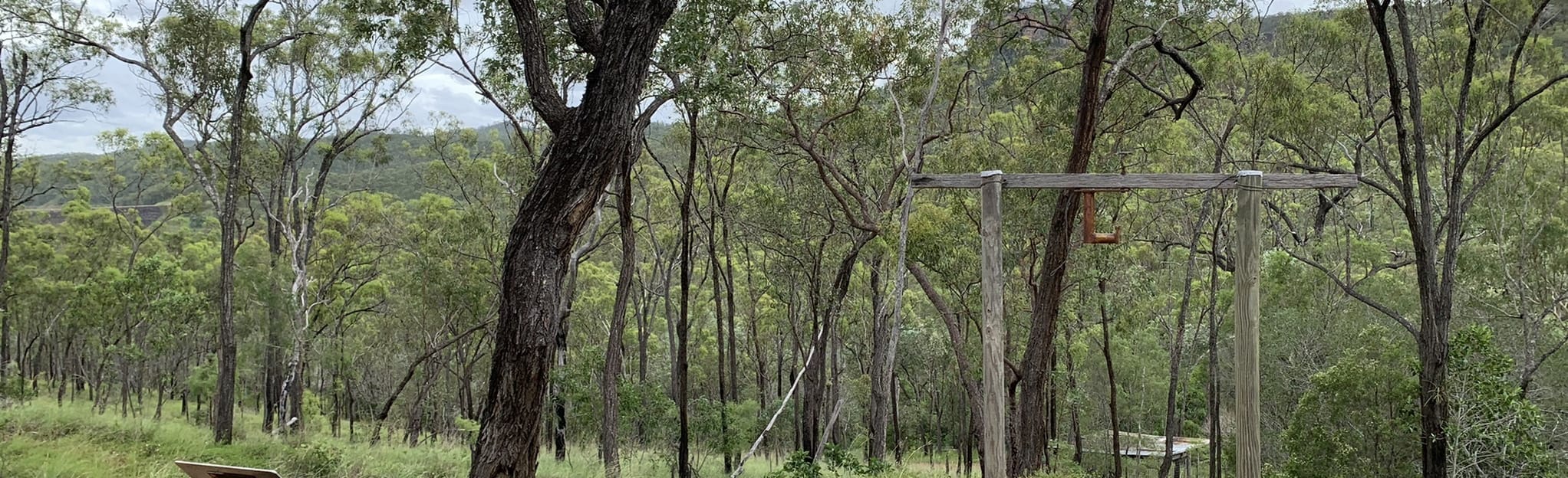 Shamrock Mine Track, Queensland, Australia - 14 Reviews, Map | AllTrails