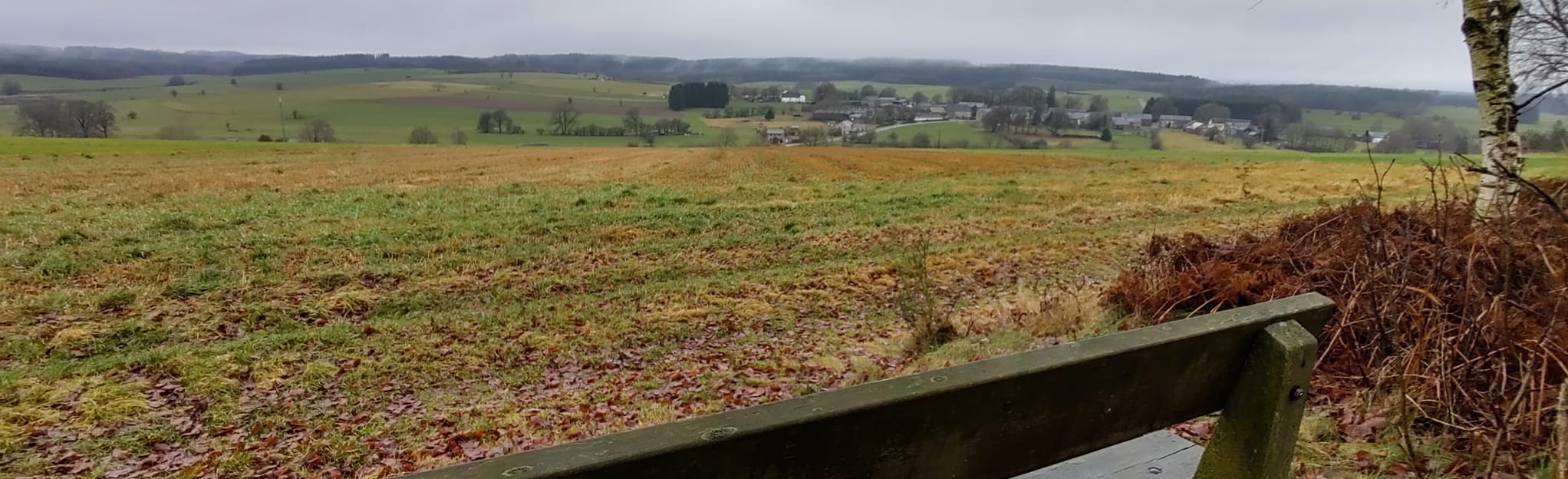 The Coprin trail: 3 Reviews, Map - Luxembourg, Belgium | AllTrails