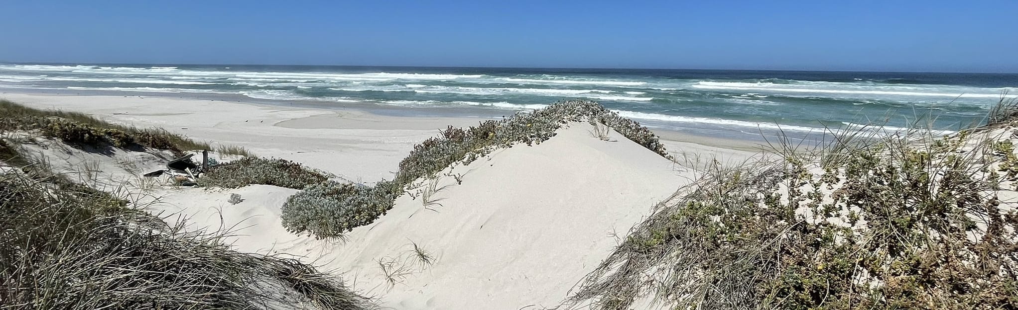 Strandveld Trail, Western Cape, South Africa - 32 Reviews, Map | AllTrails