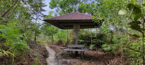 Best Hikes and Trails in Sungai Basong Recreational Park | AllTrails