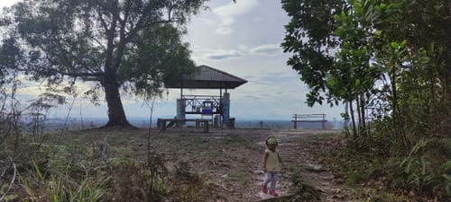 Best Hikes and Trails in Sungai Basong Recreational Park | AllTrails