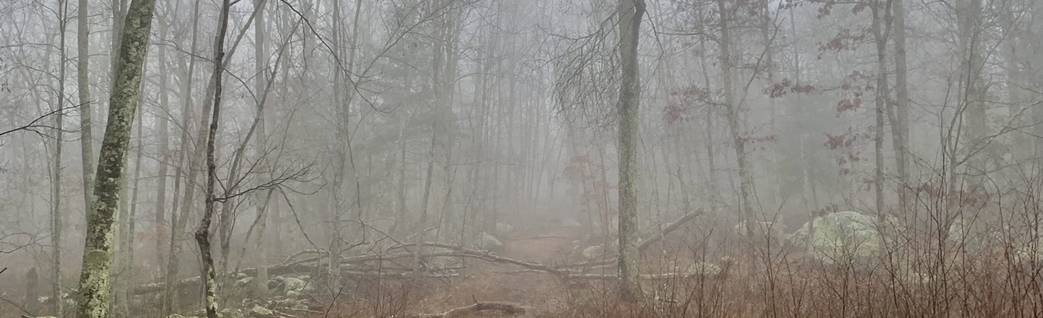 Old Mountain Road Trail: 49 Reviews, Map - Rhode Island | AllTrails