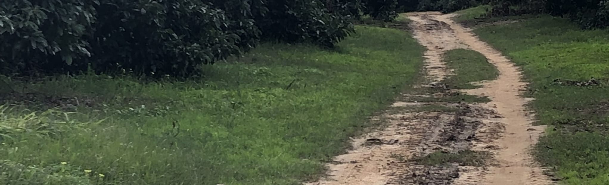 Kfar Nahman to Yakumvia Ronit Farm, Central District HaMerkaz, Israel ...