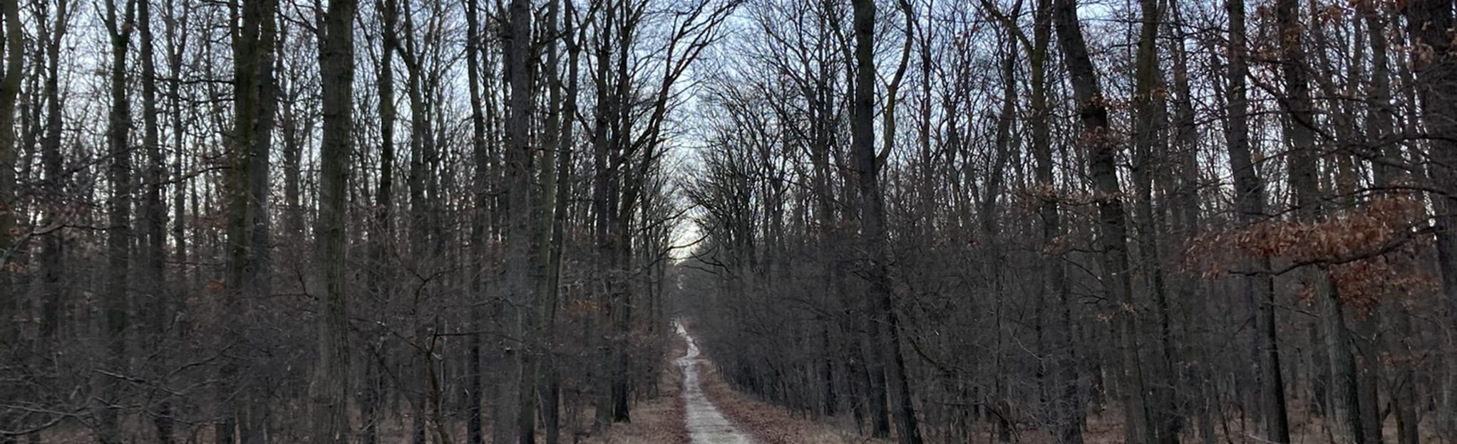 Normafa - Arboretum in Budakeszi, Budapest, Hungary - Map, Guide ...