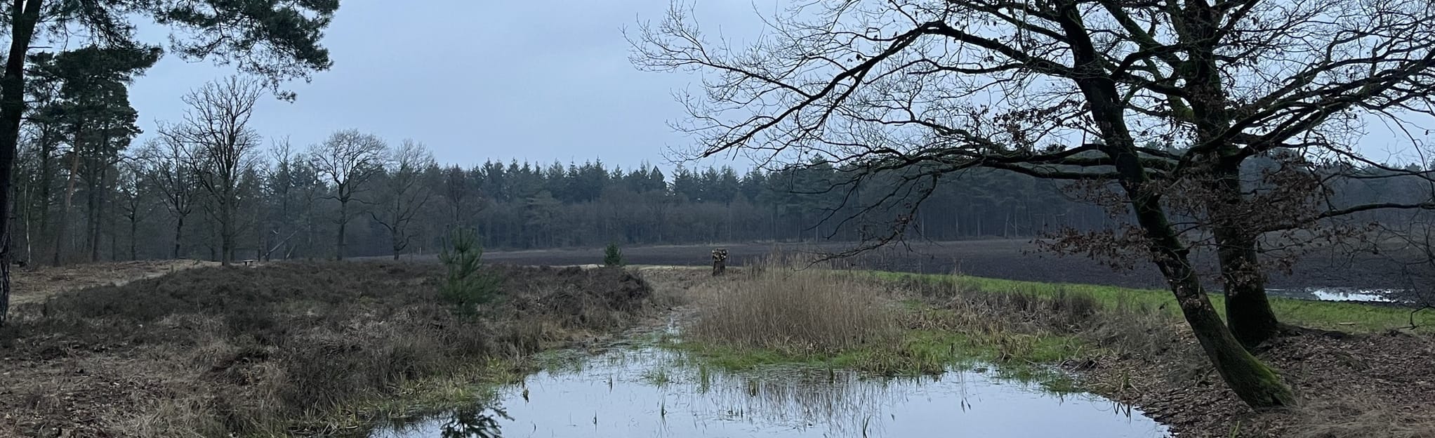 Wandelroute Twaalf Vennekes Tocht Stiphoutse Bossen, North Brabant ...