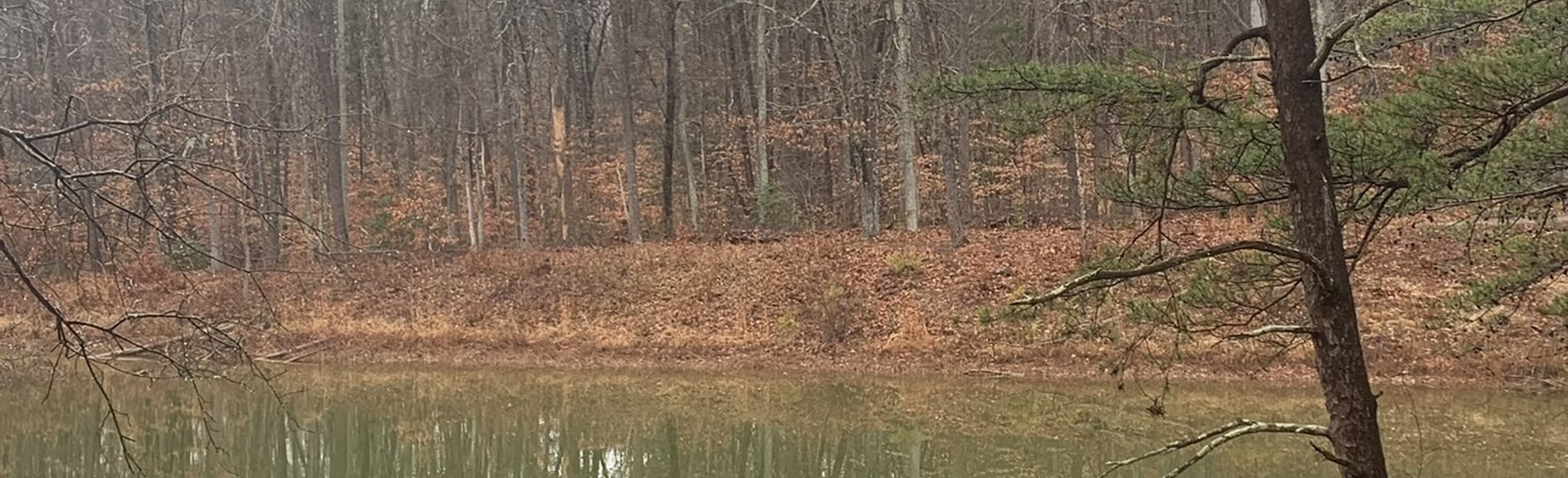 Ni River Trail: 281 Reviews, Map - Virginia | AllTrails