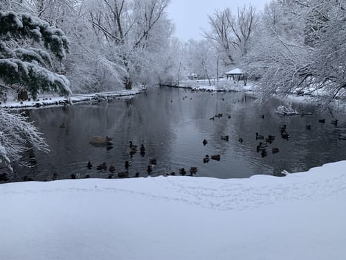 Best Hikes and Trails in Layton Commons Park | AllTrails