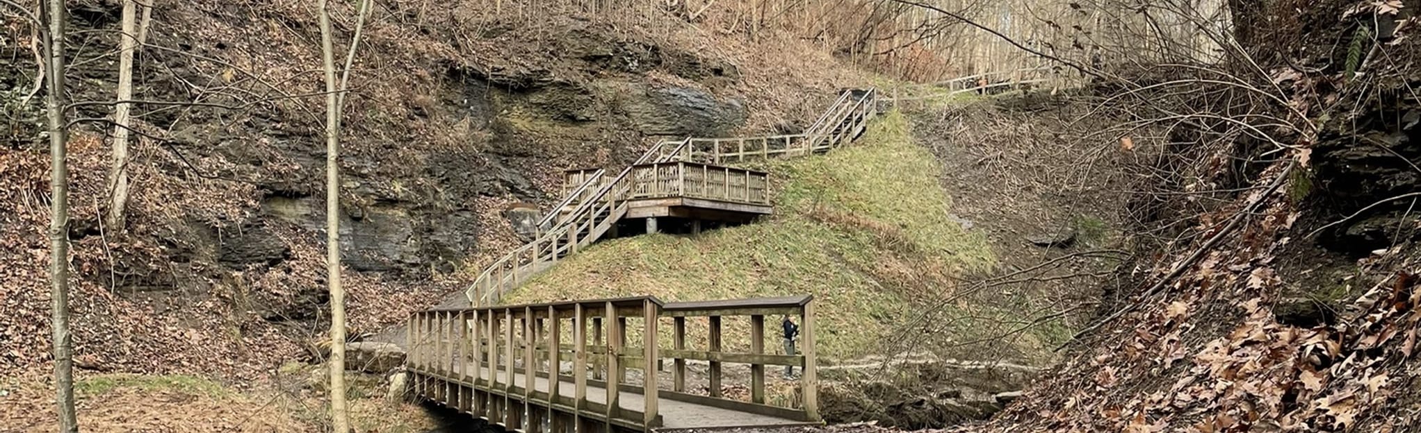Fall Run Trail, Pennsylvania - 792 Reviews, Map | AllTrails
