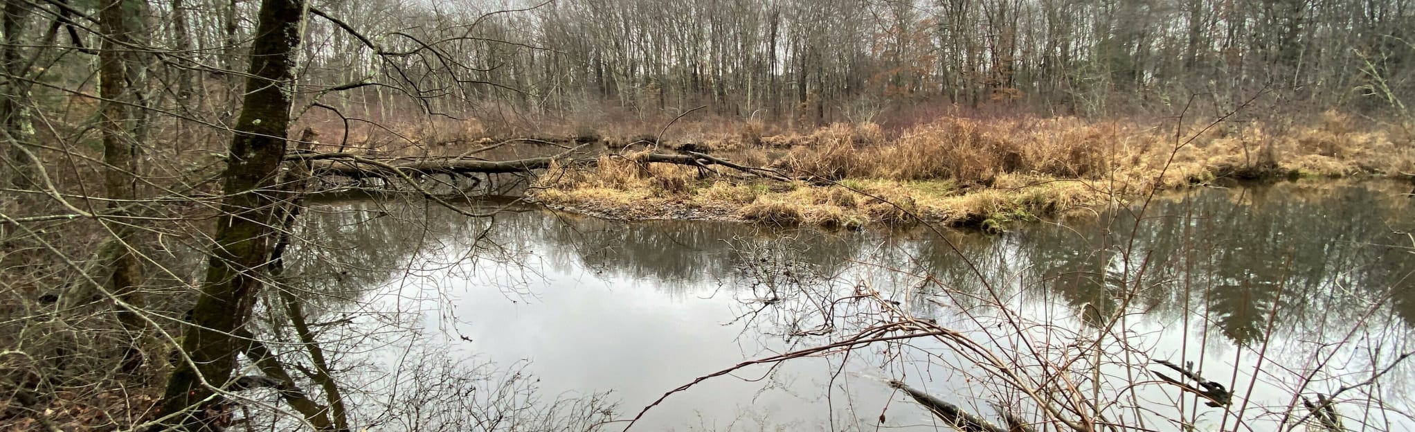 Wapping Park Trail: 156 foto's - Connecticut | AllTrails