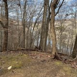 Matildaville Trail, Virginia - 209 Reviews, Map | AllTrails