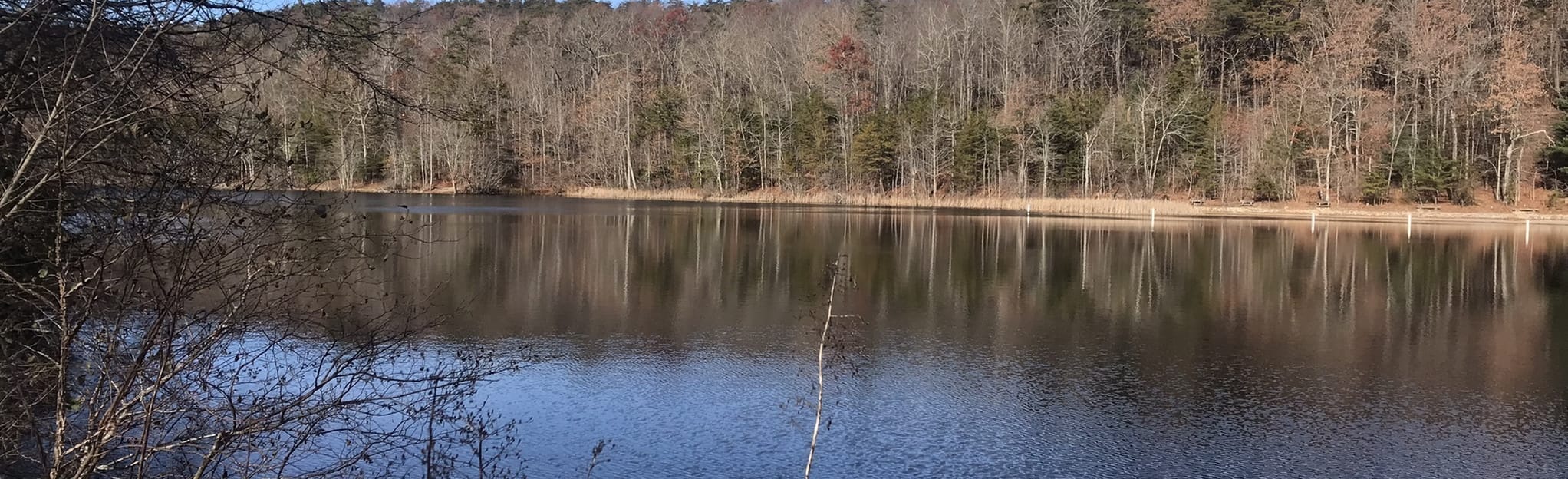 Benton Falls Trail and Slick Rock Trail Loop, Tennessee - 226 Reviews ...