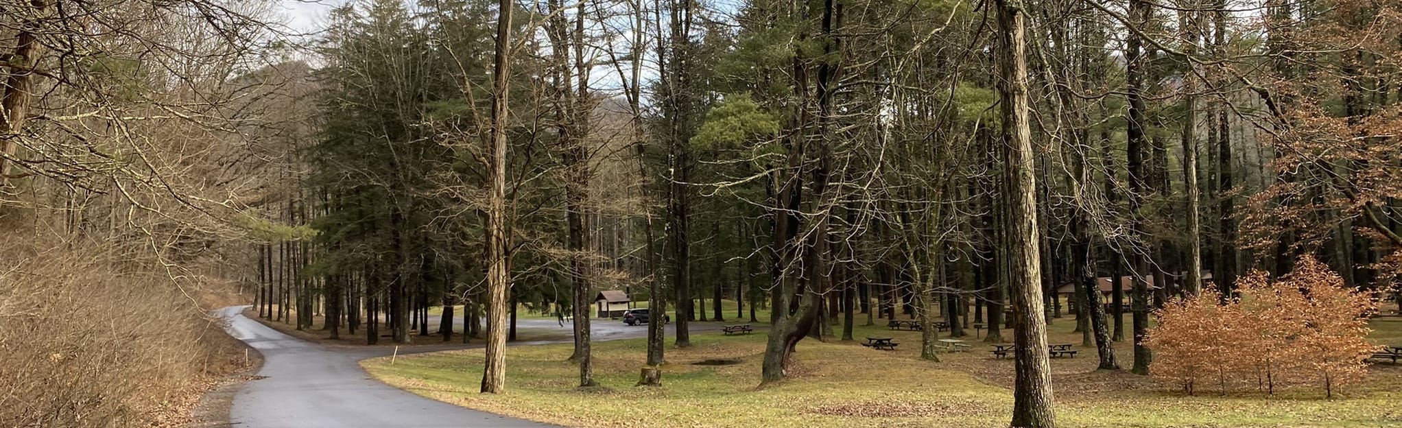 Donut Hole Trail via Long Fork Trail: 18 Reviews, Map - Pennsylvania ...