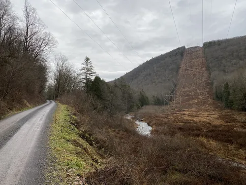 Best 10 Hikes and Trails in Sproul State Forest | AllTrails