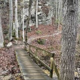 North Sylamore Creek Trail, Arkansas - 260 Reviews, Map | AllTrails