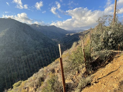 Rustic Canyon Park: Die besten Routen in 2023 | AllTrails