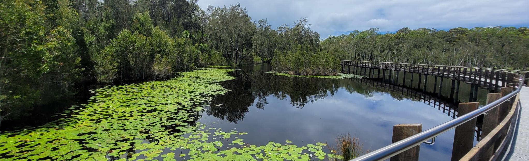 Urunga Wetland Walk: 16 Reviews, Map - New South Wales, Australia ...