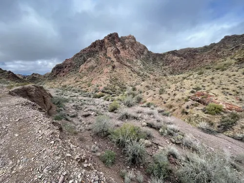10 Best Trails and Hikes in Yuma | AllTrails
