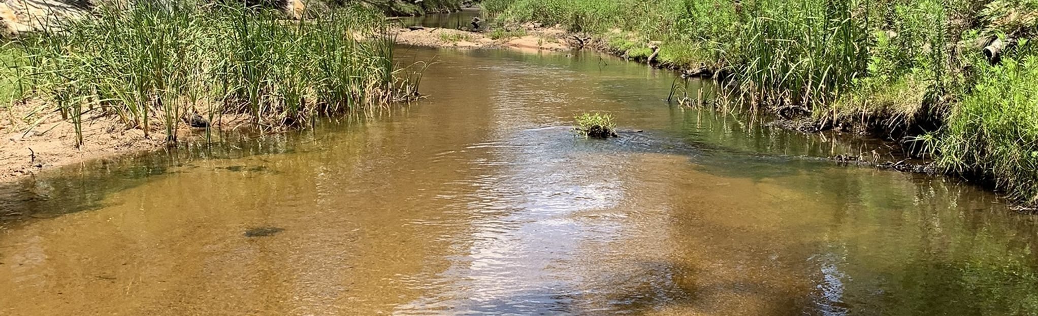 Goulburn River Walk: The Drip - Spring Gully: 93 foto's - Nieuw-Zuid ...